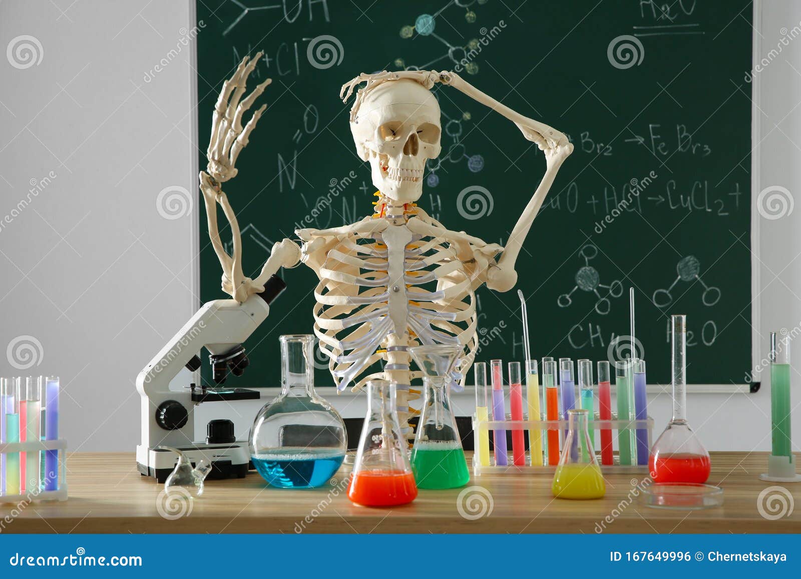 Skeleton and Different Chemistry Glassware Stock Photo - Image of ...