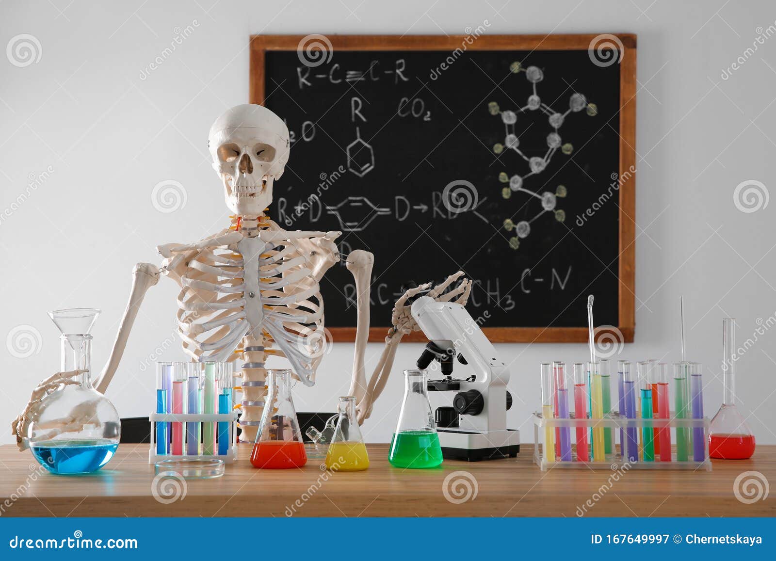 Skeleton and Different Chemistry Glassware Stock Image - Image of ...