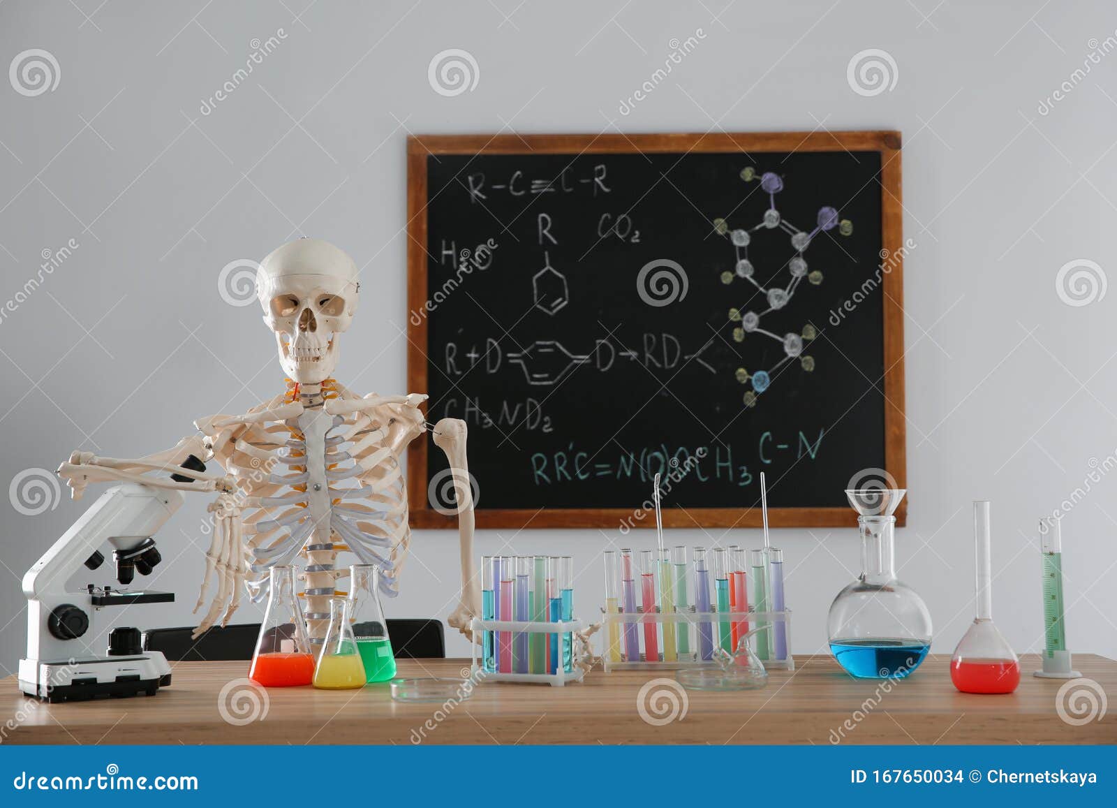 Skeleton and Different Chemistry Glassware Stock Photo - Image of ...