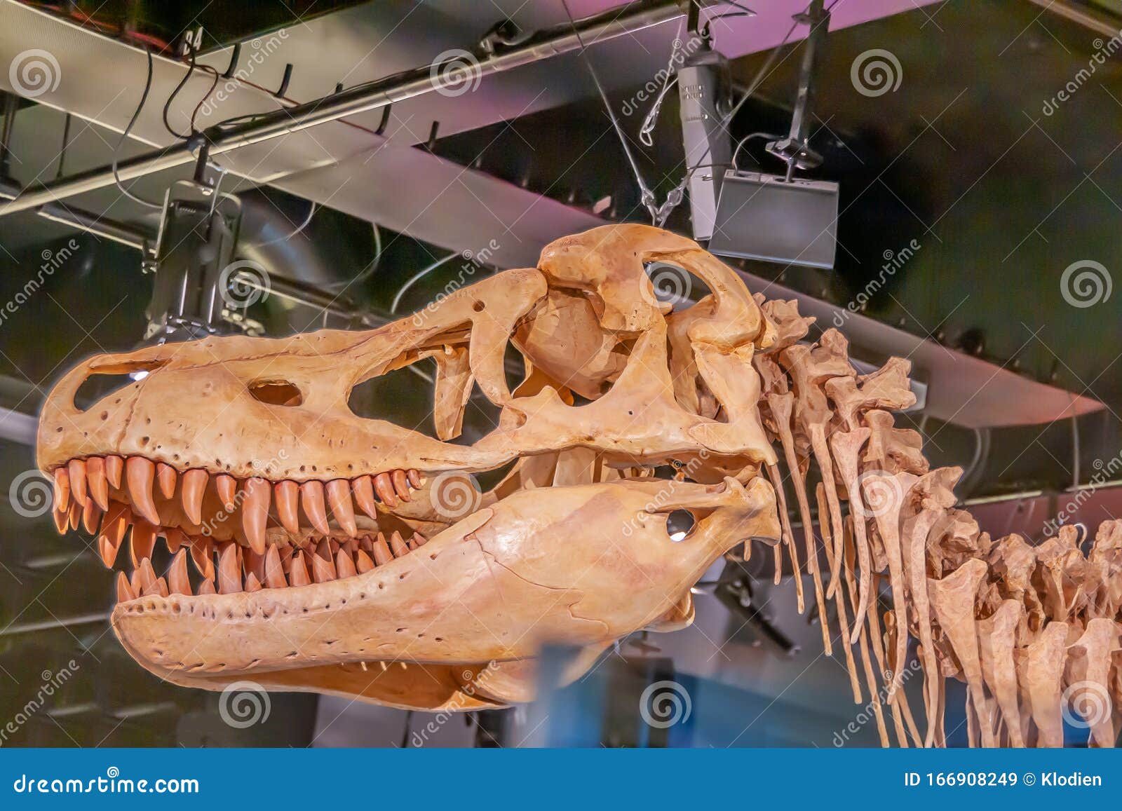 Brown Dinosaur Editorial Image | CartoonDealer.com #50798980