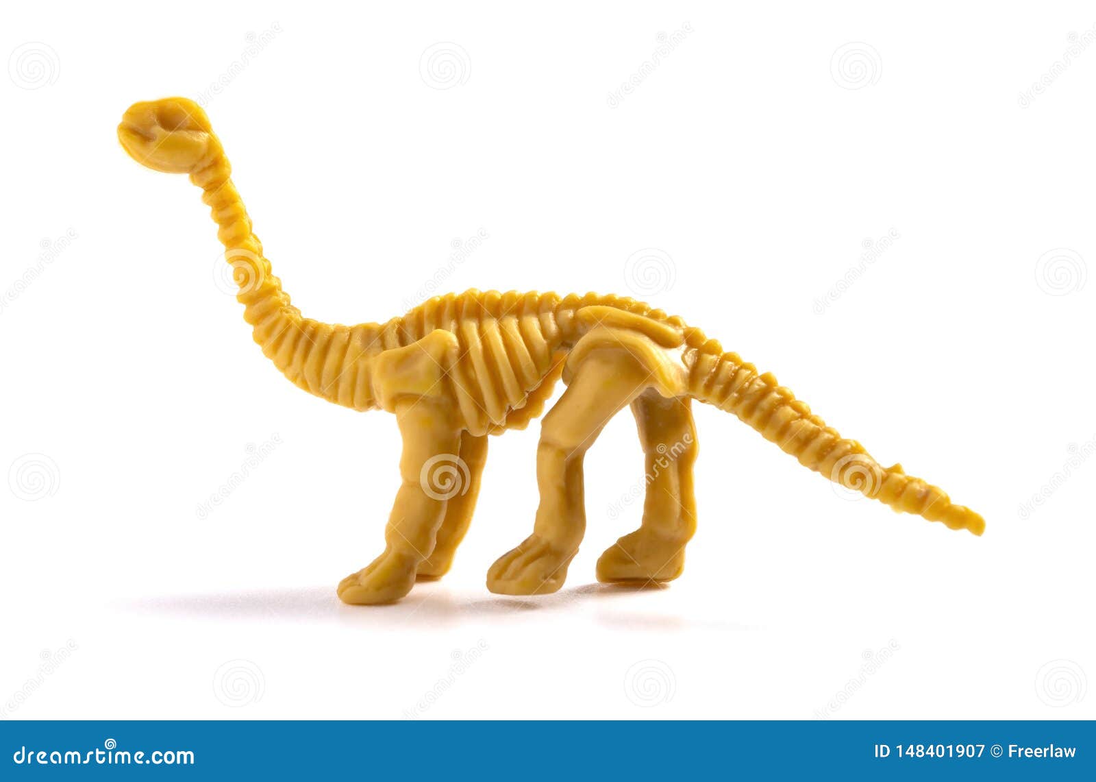 Skeleton of Diplodocus on a White Background Stock Image - Image of ...