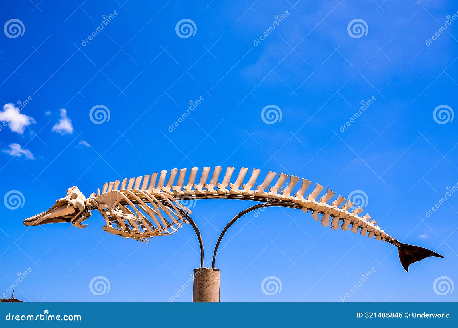 A Skeleton is Displayed on a Pole in the Middle of a Blue Sky Stock ...