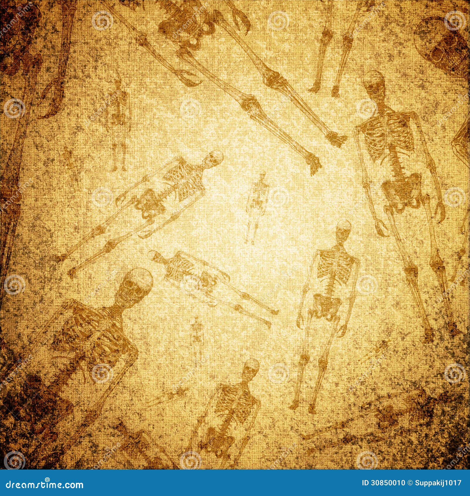 Skeleton stock illustration. Illustration of backbone - 30850010