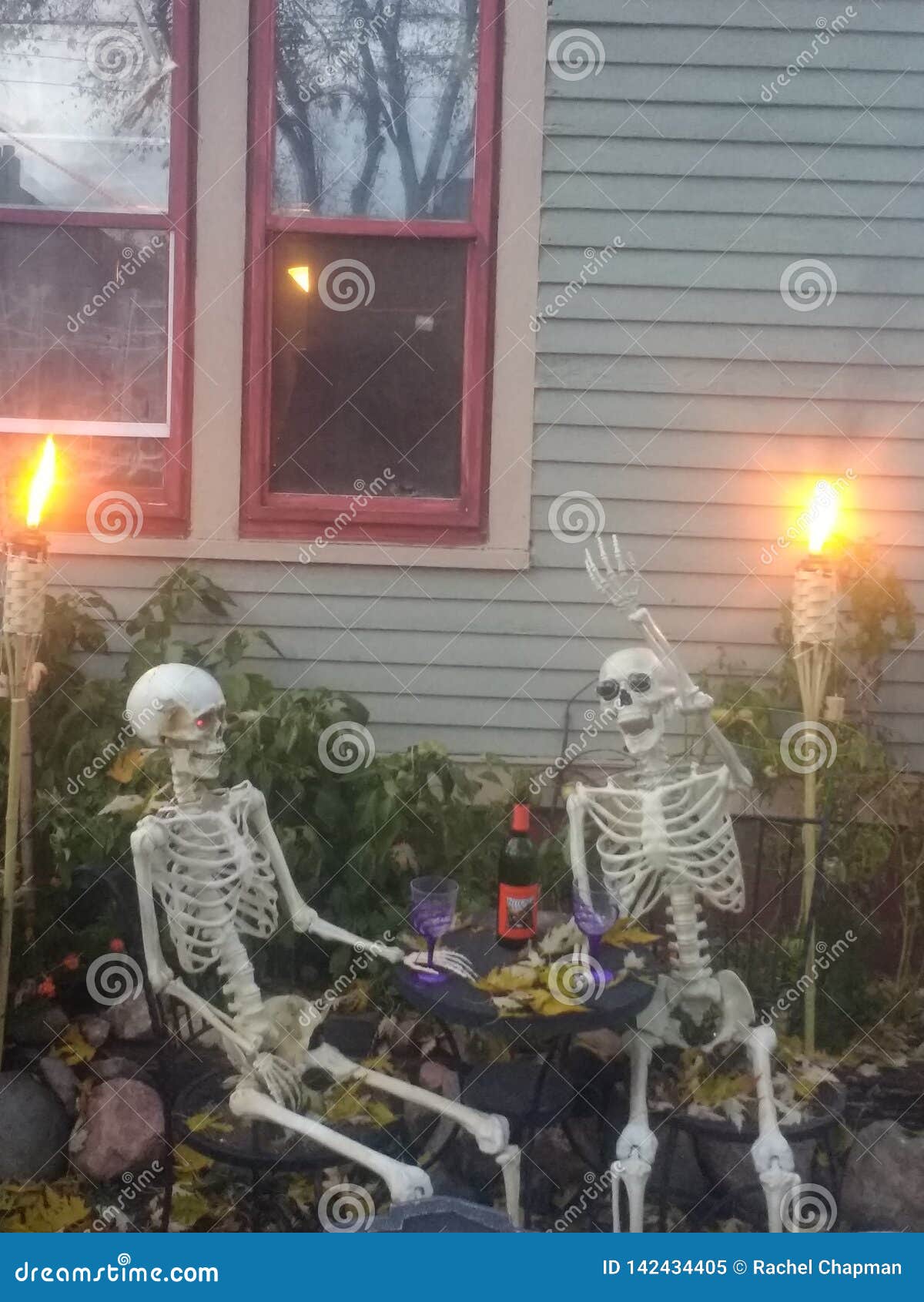 208 Skeleton Drinking Photos - Free & Royalty-Free Stock Photos from ...