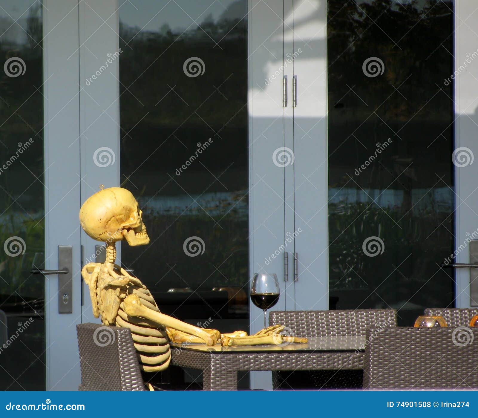 173 Drinking Skeleton Photos - Free & Royalty-Free Stock Photos from ...