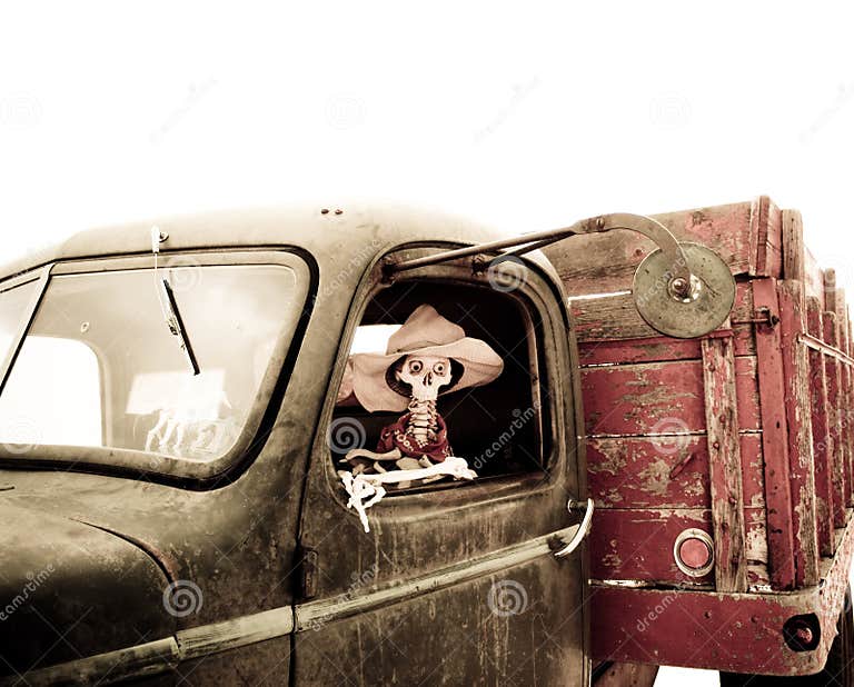 Skeleton driving stock photo. Image of anatomical, driving - 21585466