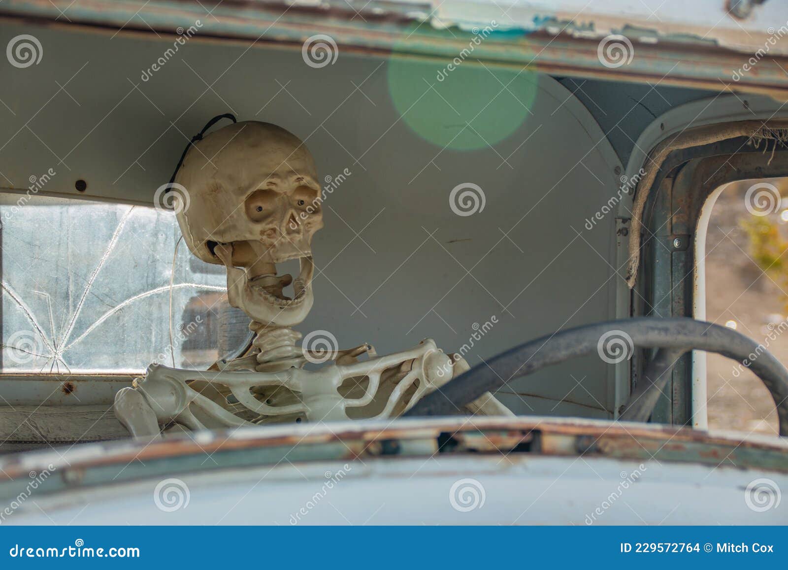 Skeleton Driver stock photo. Image of steering, transport - 229572764