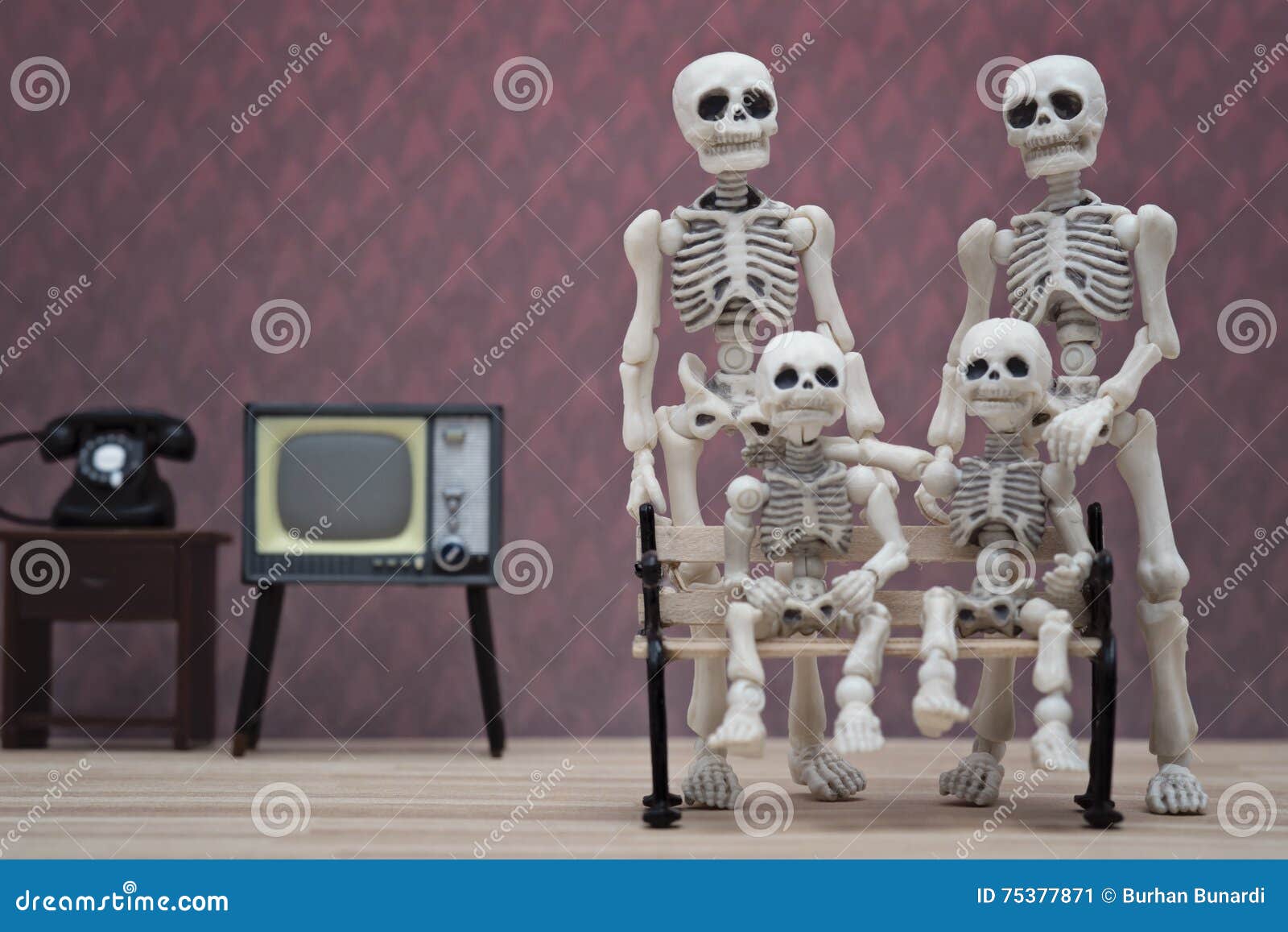 The Skeleton Family Portrait Royalty-Free Stock Photography ...