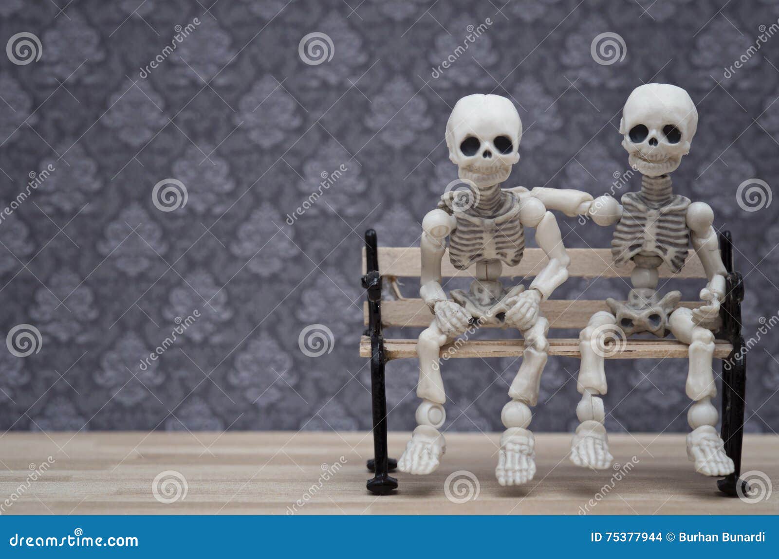 The Skeleton Family Portrait Royalty-Free Stock Photography ...