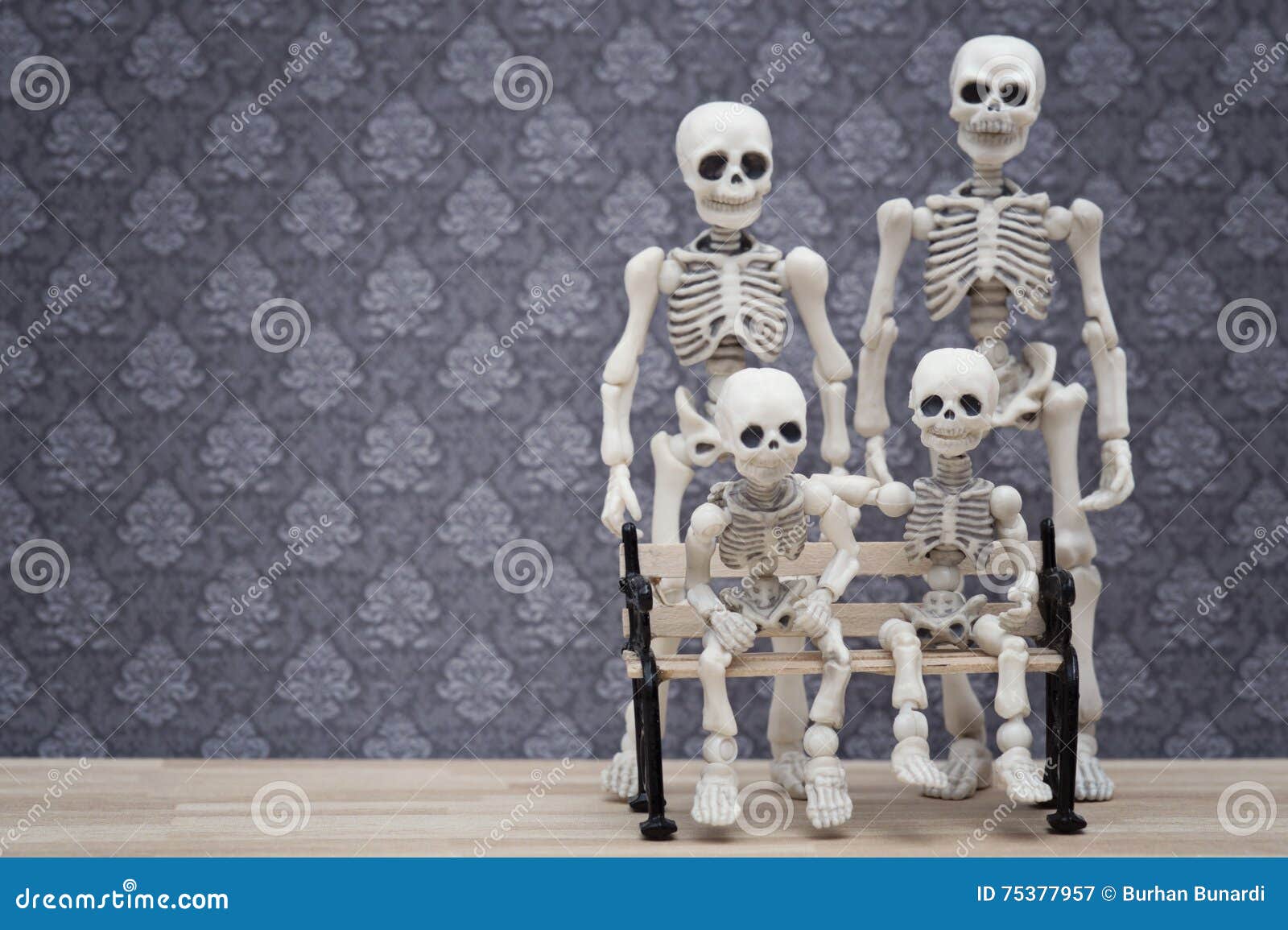 The Skeleton Family Portrait Royalty-Free Stock Photography ...