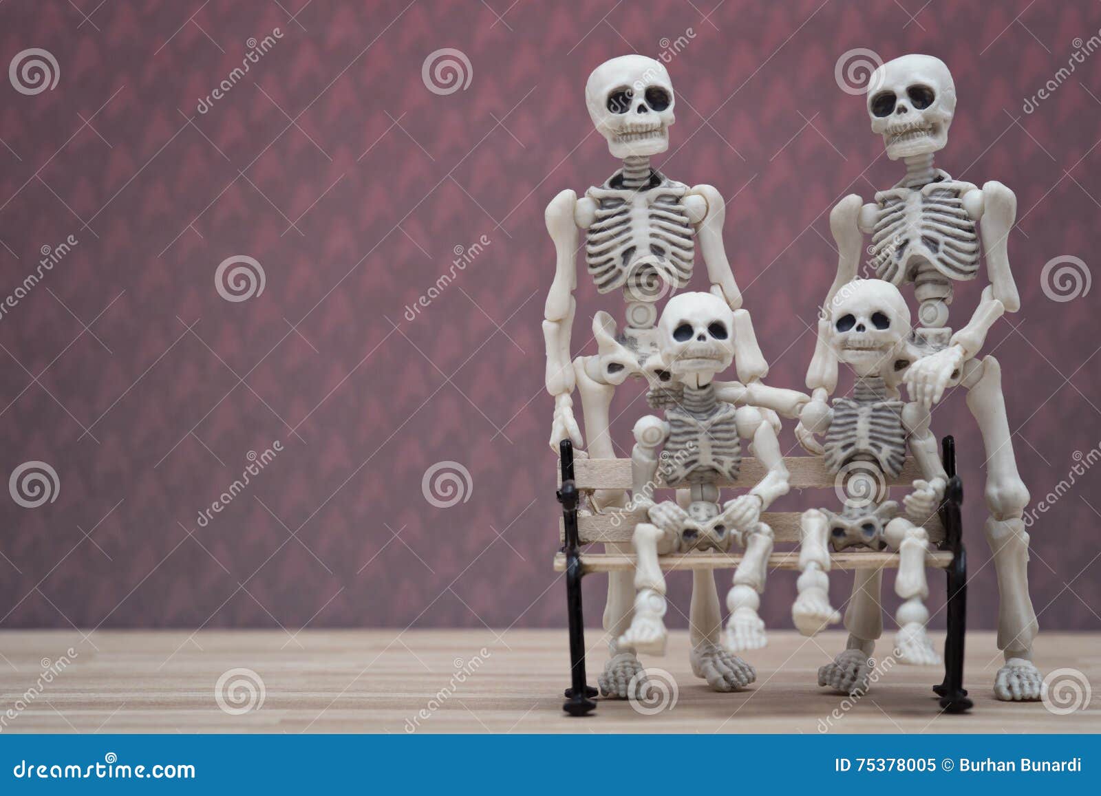 Skeleton family stock image. Image of spooky, death, people - 75378005
