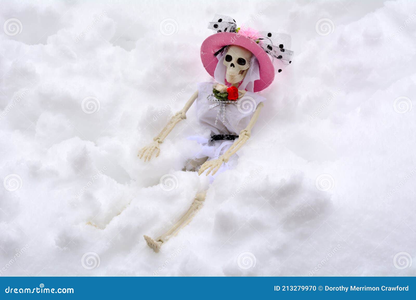 Skeleton in Fancy Pink Hat in Snow Storm Stock Photo - Image of humor ...