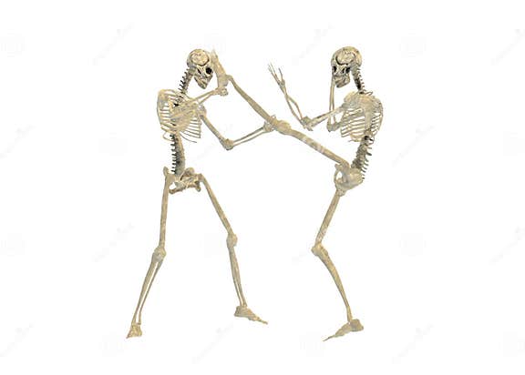 Skeleton fighting stock illustration. Illustration of bones - 13169323