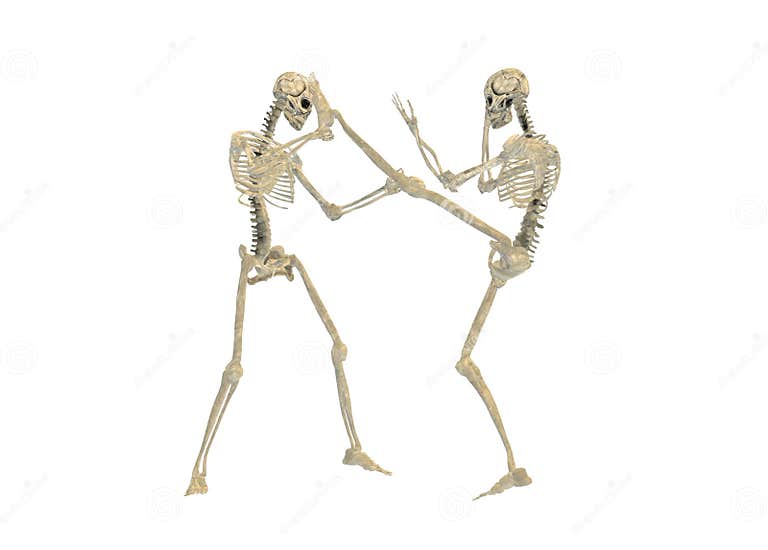 Skeleton fighting stock illustration. Illustration of bones - 13169323