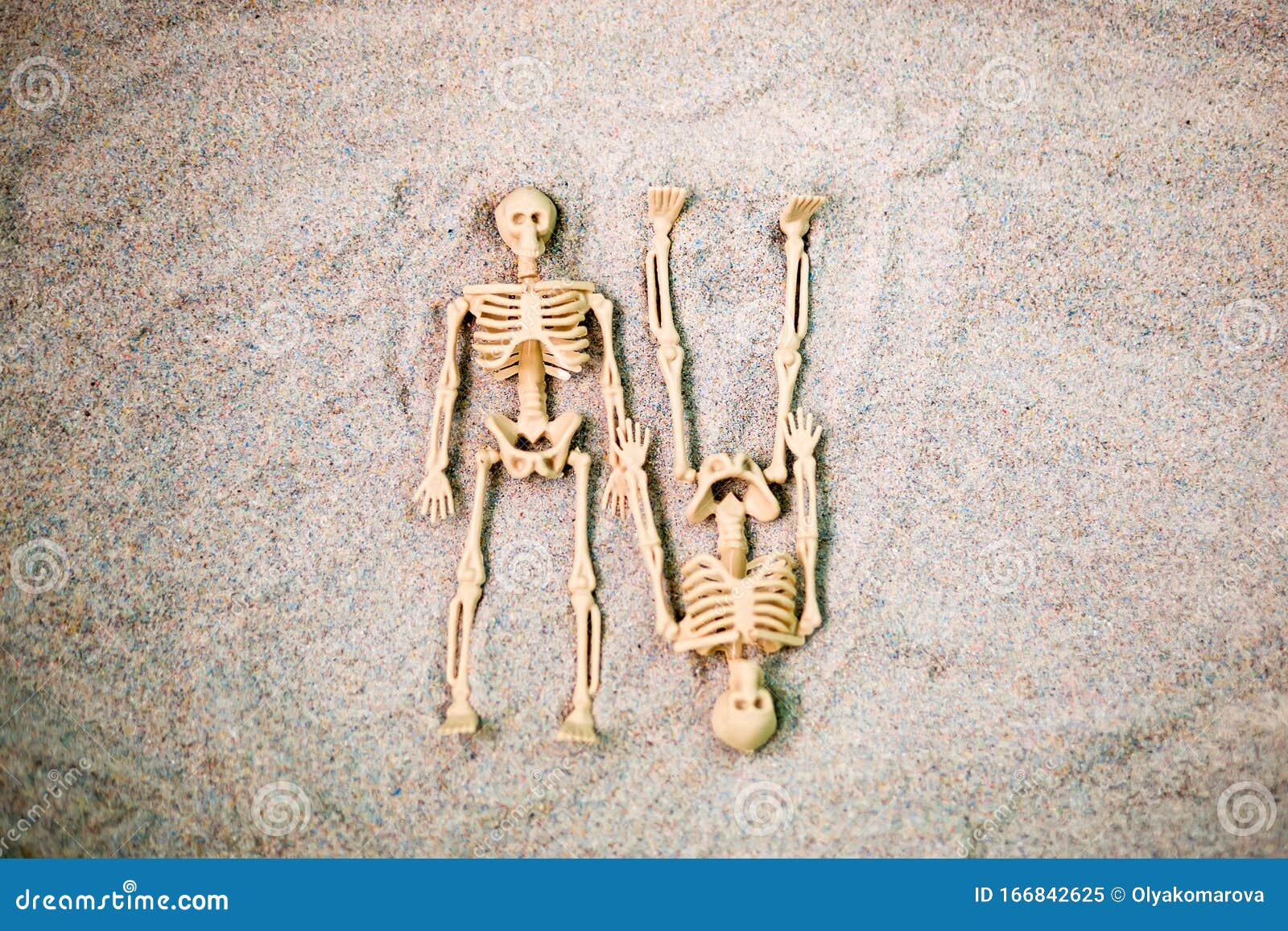 Skeleton Figure And Legend Stock Photo | CartoonDealer.com #65079504