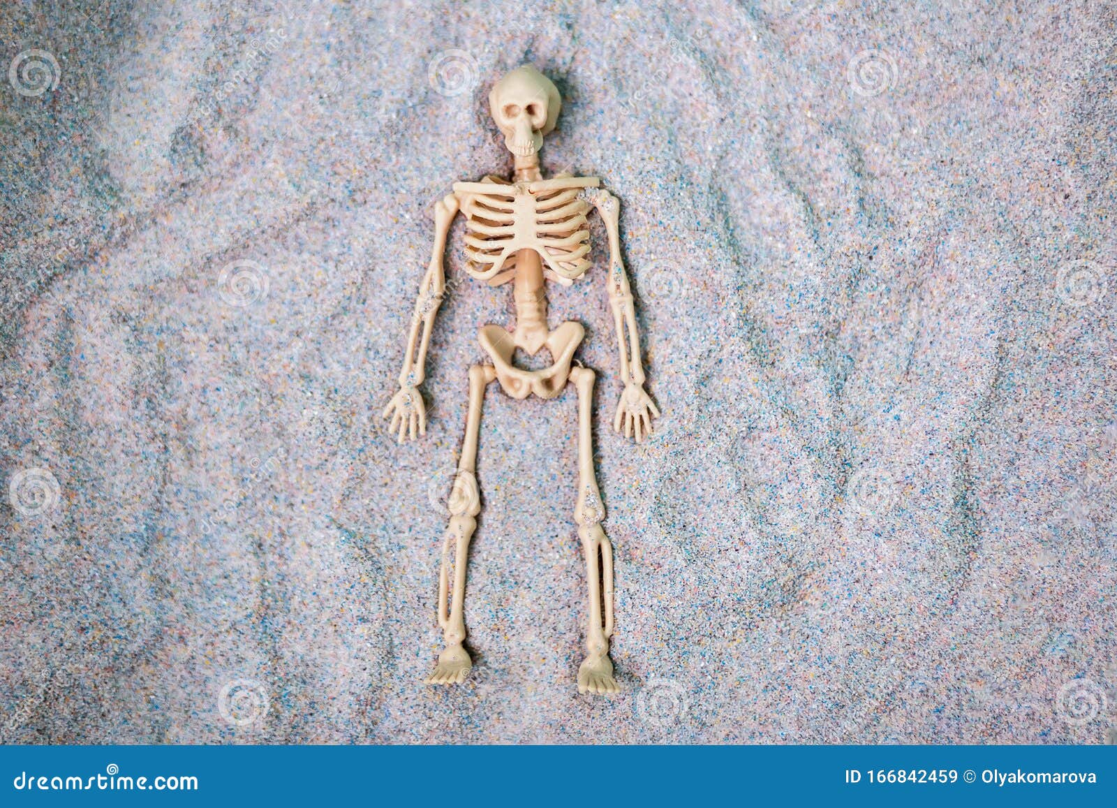 Skeleton Figure And Legend Stock Photo | CartoonDealer.com #65079504