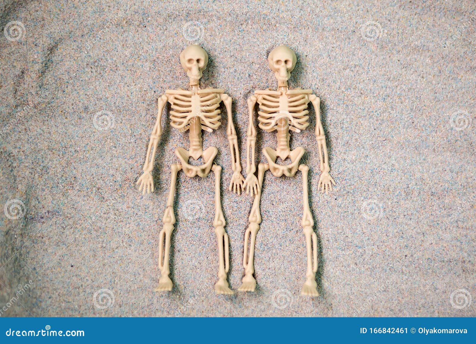 Skeleton Figure And Legend Stock Photo | CartoonDealer.com #65079504