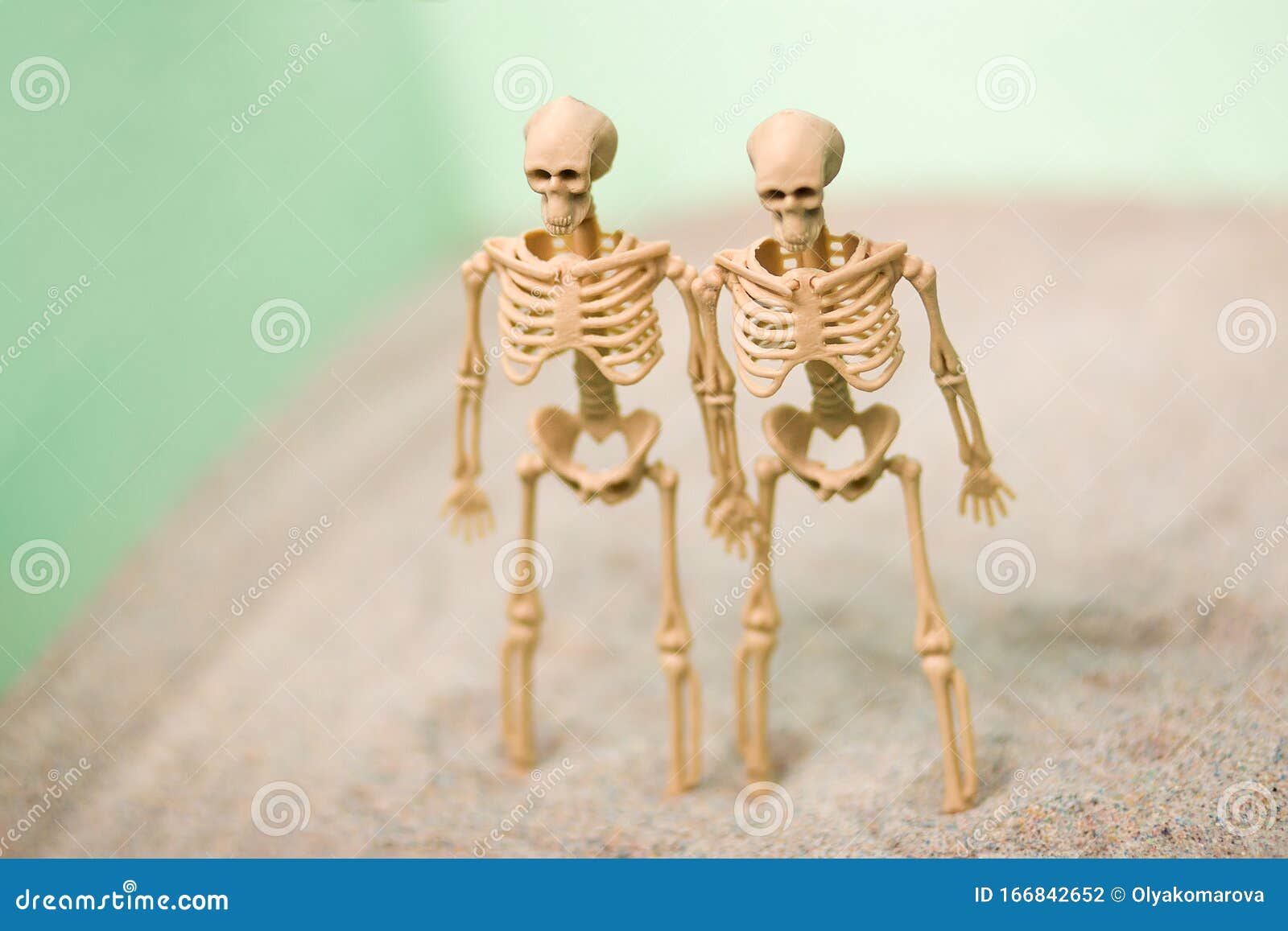 Skeleton Figure And Legend Stock Photo | CartoonDealer.com #65079504