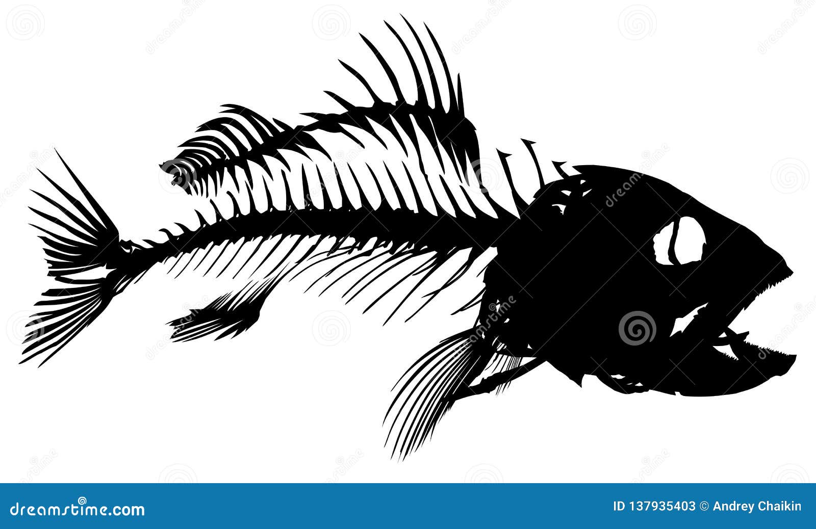 Skeleton of fish. stock vector. Illustration of fishing - 137935403