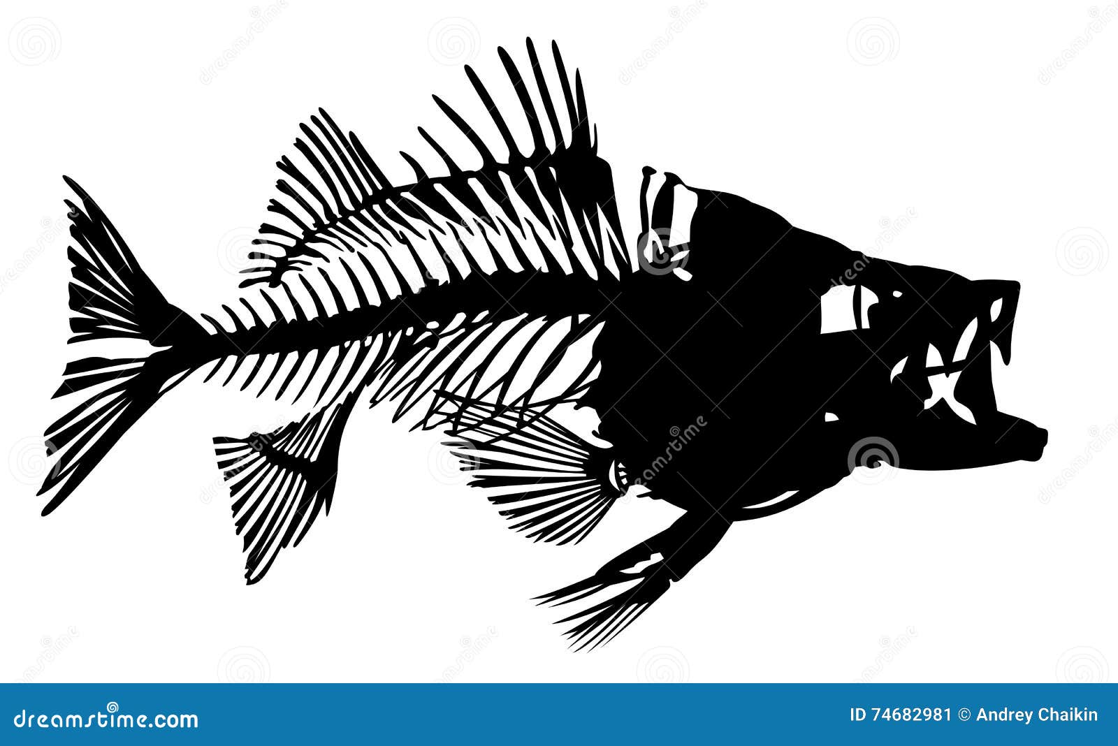 Skeleton of fish. stock vector. Illustration of predatory - 74682981