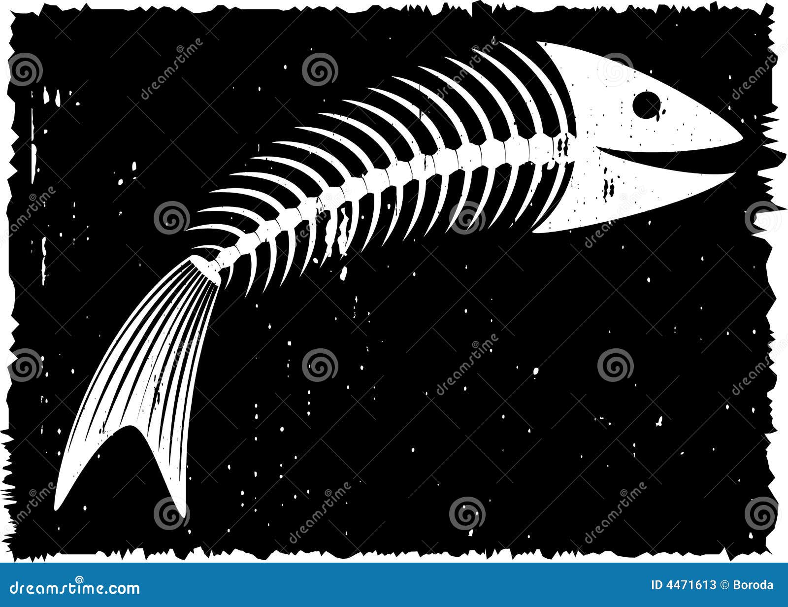 Skeleton of fish. Fun stock vector. Illustration of drop - 4471613