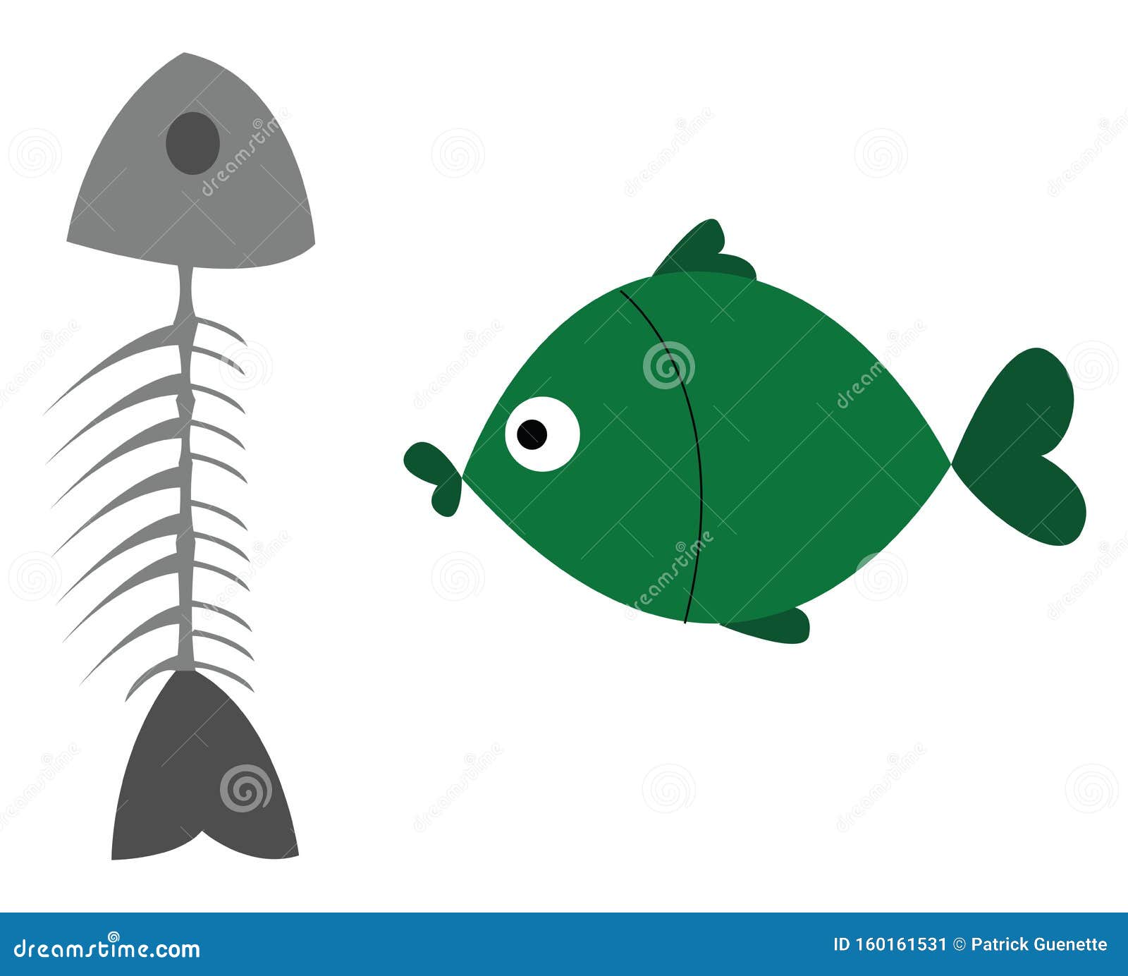 Catfish Skeleton Stock Illustrations – 151 Catfish Skeleton Stock ...