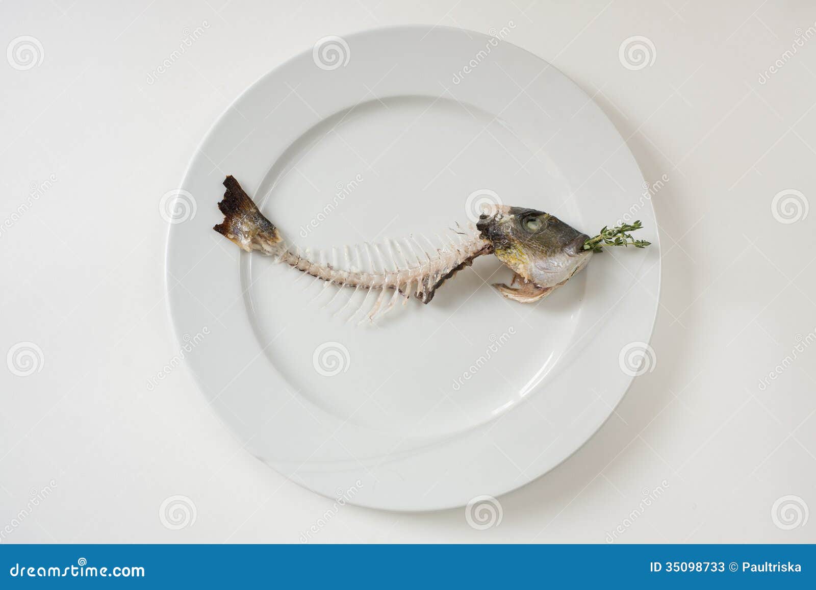 Skeleton Fish on a Plate, Fishbone Stock Image - Image of skeleton ...