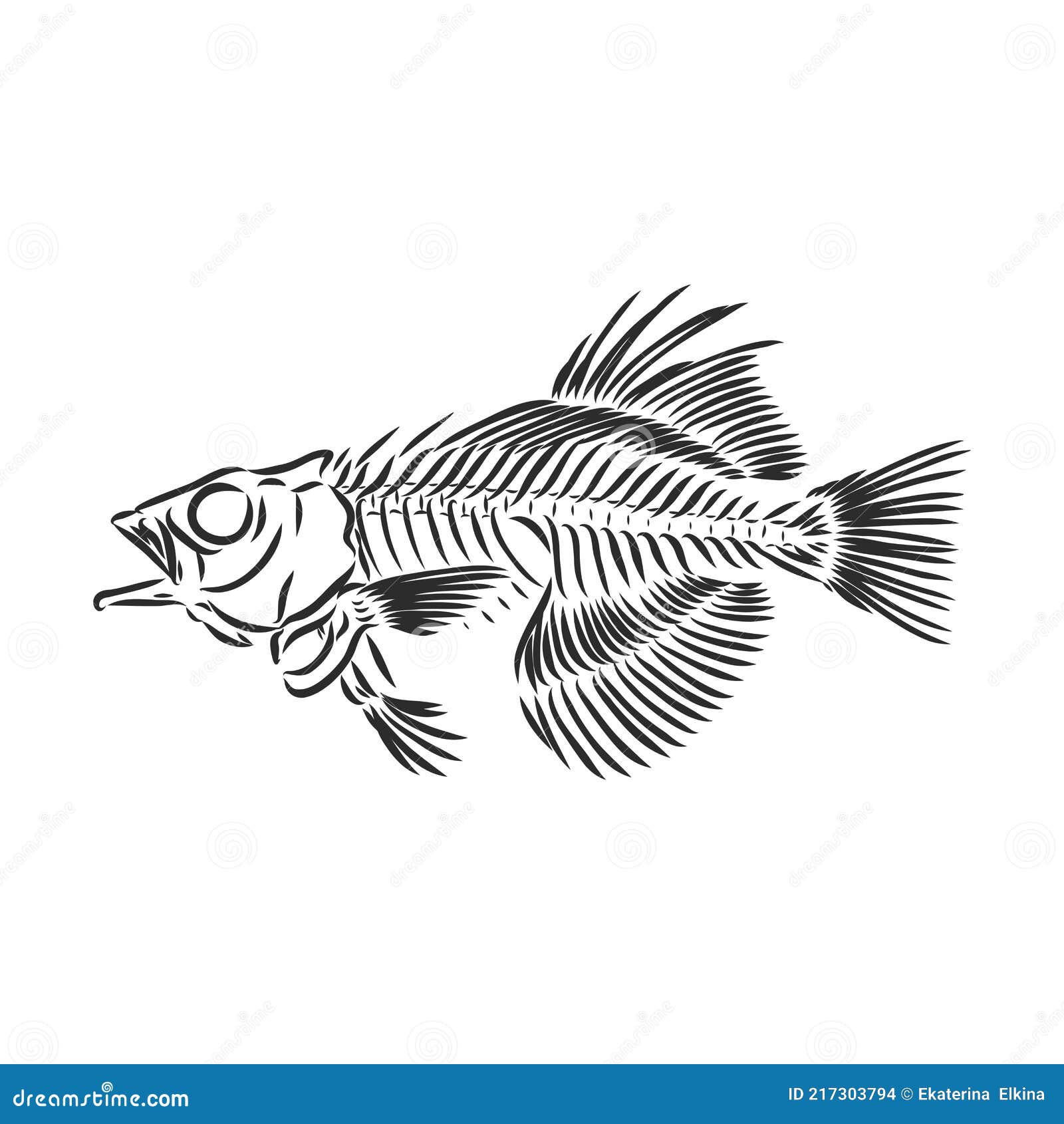 Skeleton of Fish. Sketch. Skeleton of a Prehistoric Fish Vector Sketch ...