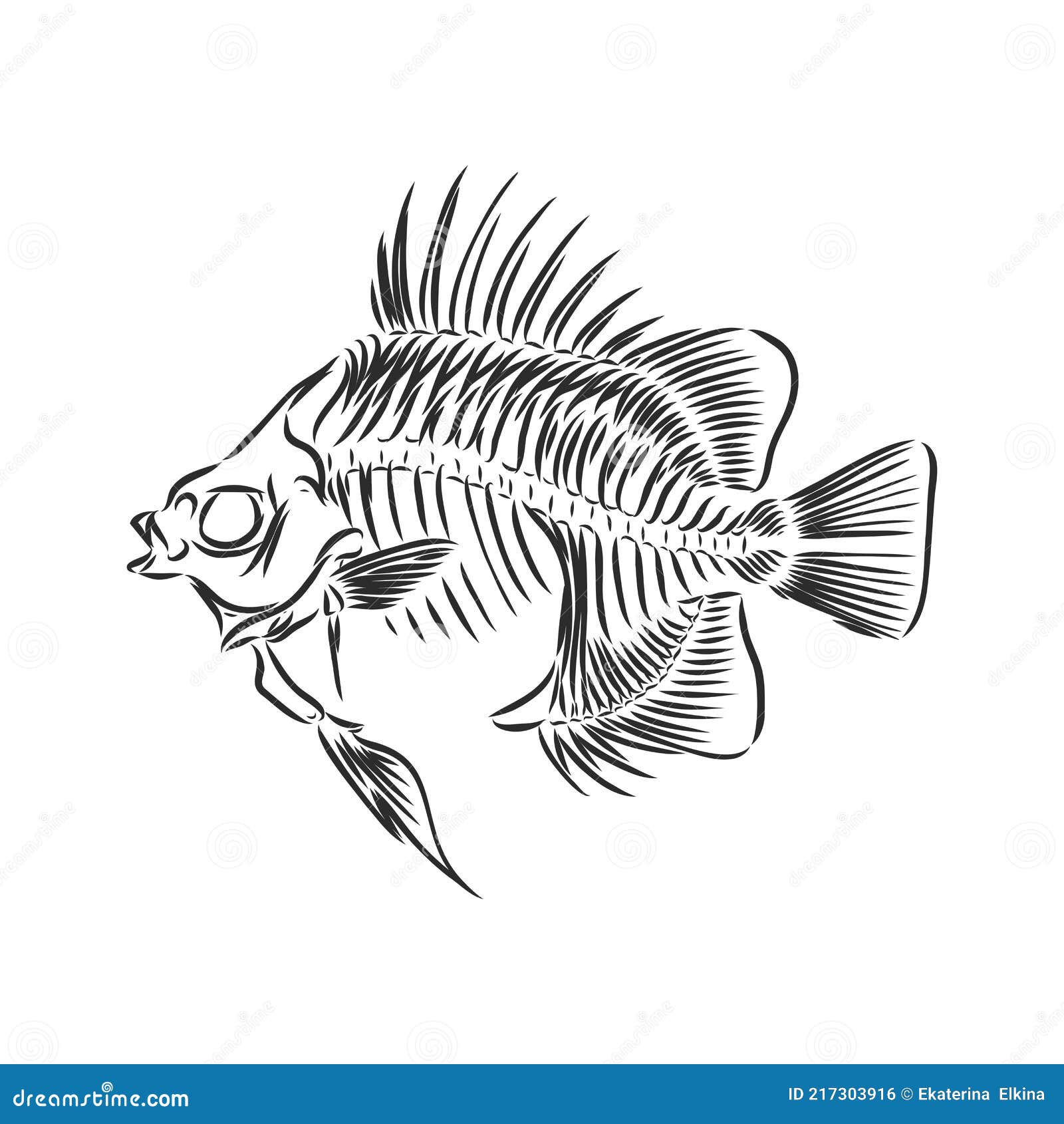 Skeleton of Fish. Sketch. Skeleton of a Prehistoric Fish Vector Sketch ...