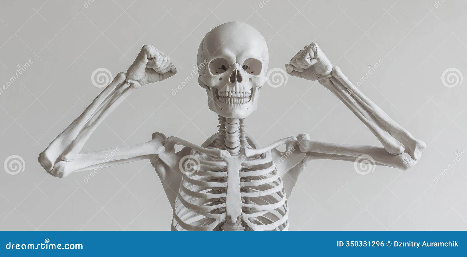 The Skeleton Flexes Its Muscles, Highlighting the Robustness and ...