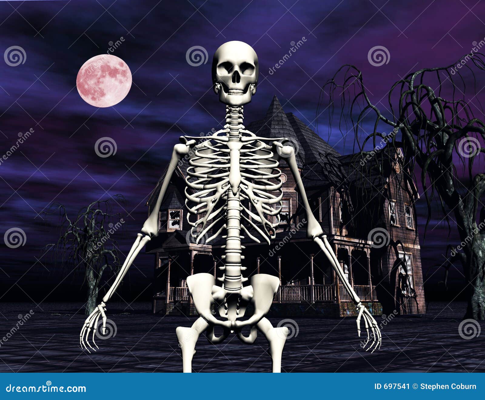 Skeleton Front Haunted House Stock Illustrations – 11 Skeleton Front ...