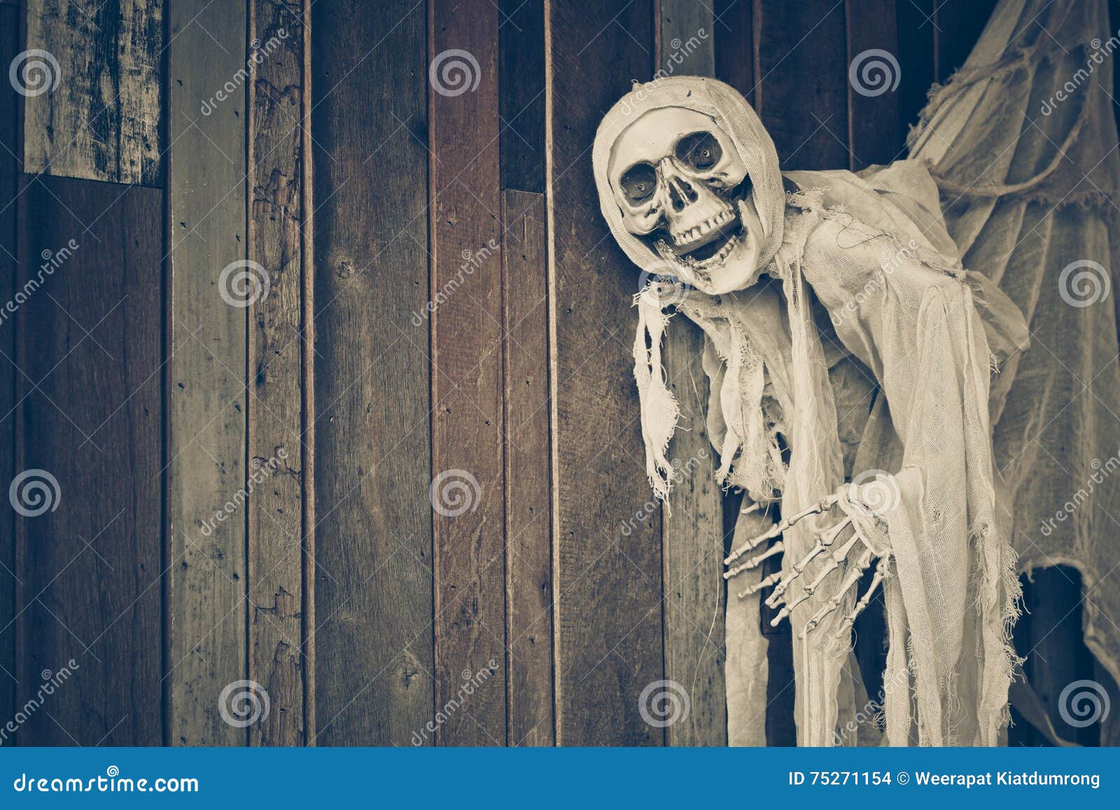 Skeleton Stock Image | CartoonDealer.com #52286467