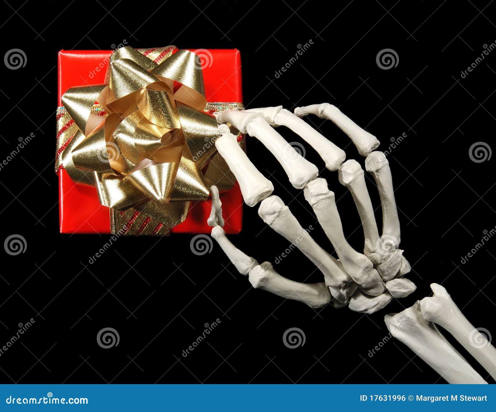 Skeleton with gift stock photo. Image of gift, skeletal - 17631996