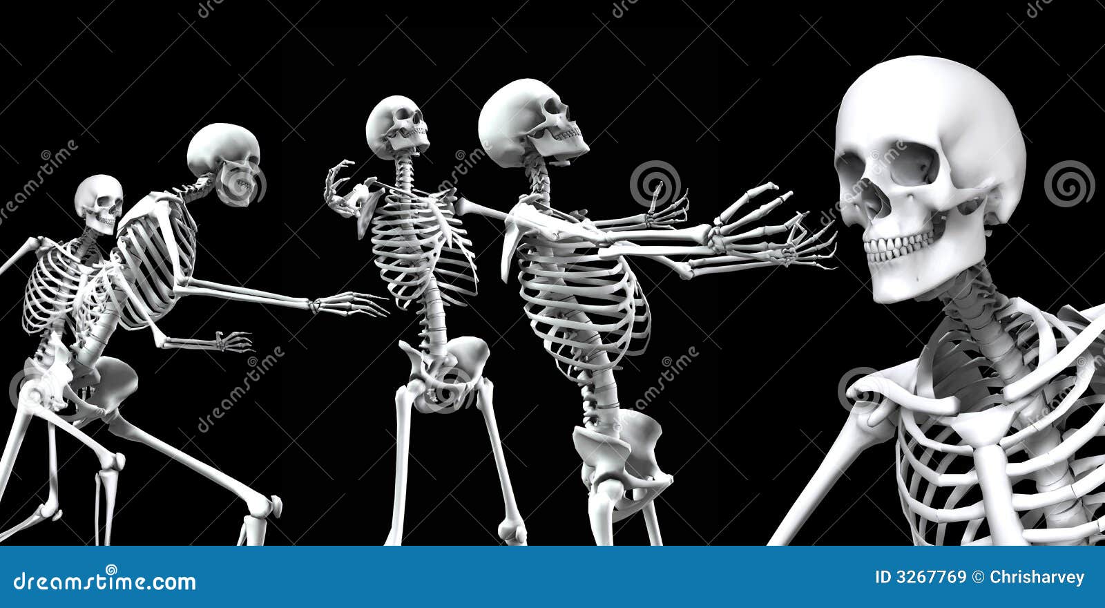 Skeleton Group 2 Royalty Free Stock Images - Image: 3267769