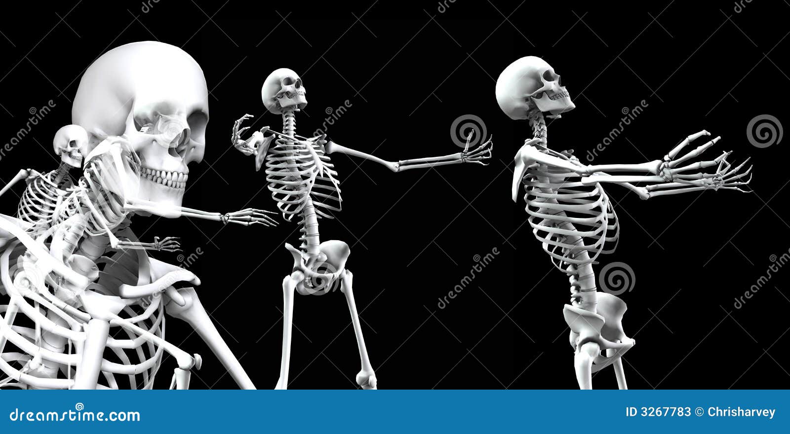 Skeleton Group 3 stock illustration. Illustration of bone - 3267783