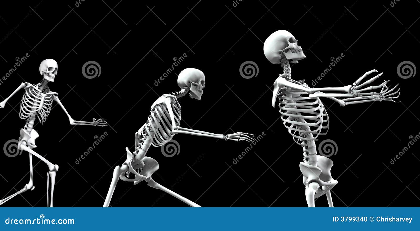 Skeleton Group Picture. Image: 3799340
