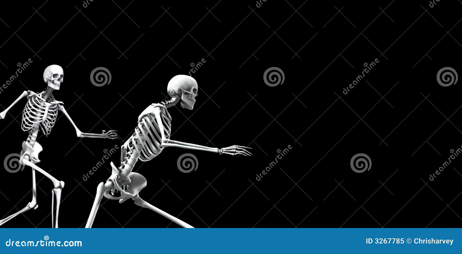 Skeleton Group 4 Picture. Image: 3267785