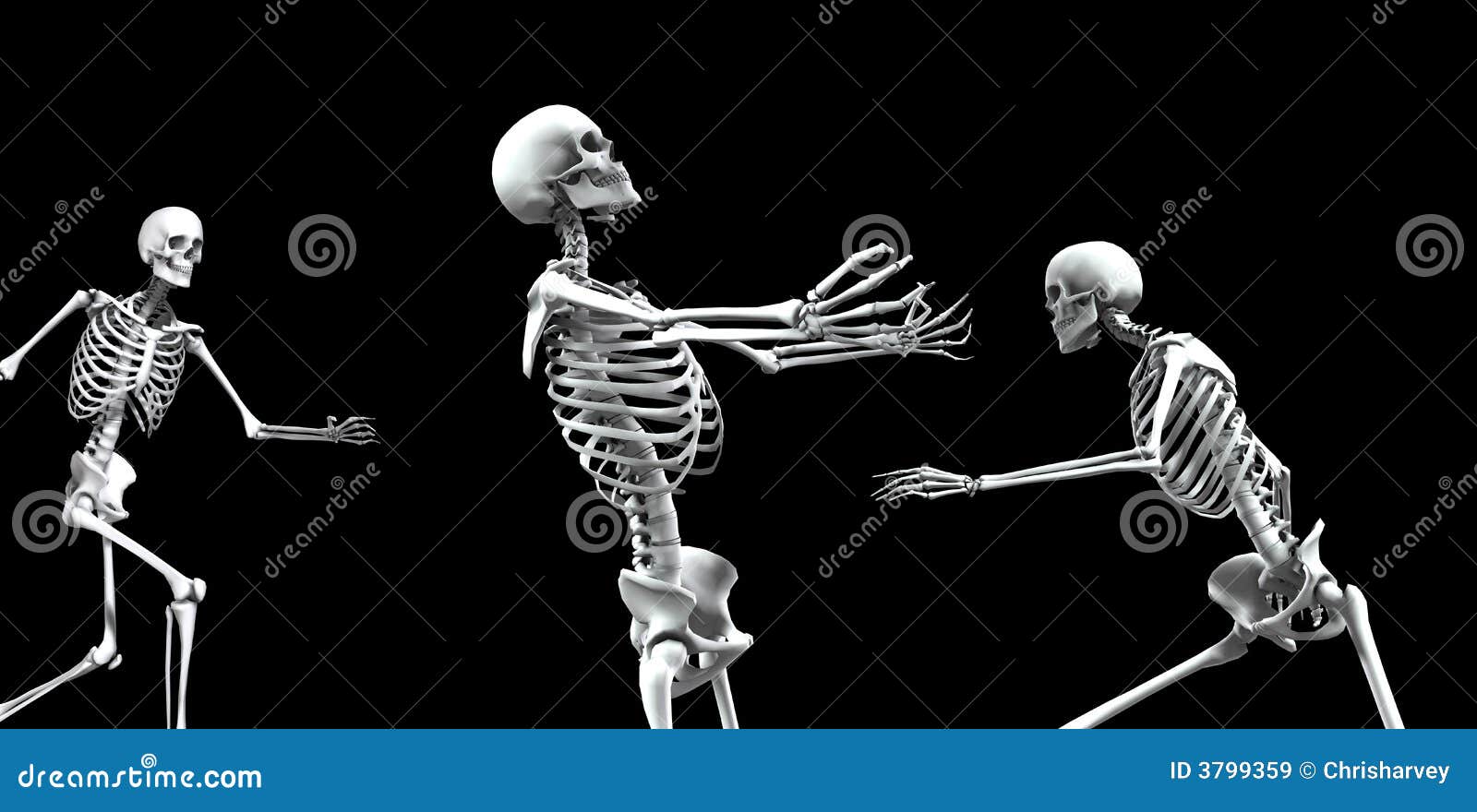 Skeleton Group 4 stock image. Image of pose, head, bones - 3799359