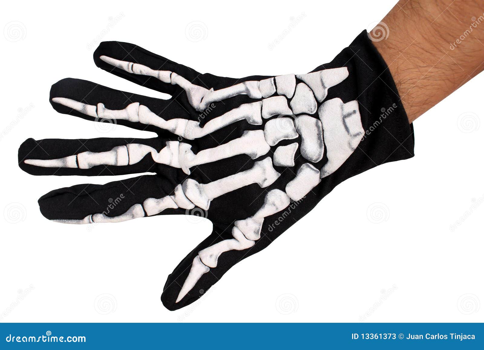 Skeleton hand stock illustration. Illustration of white - 13361373