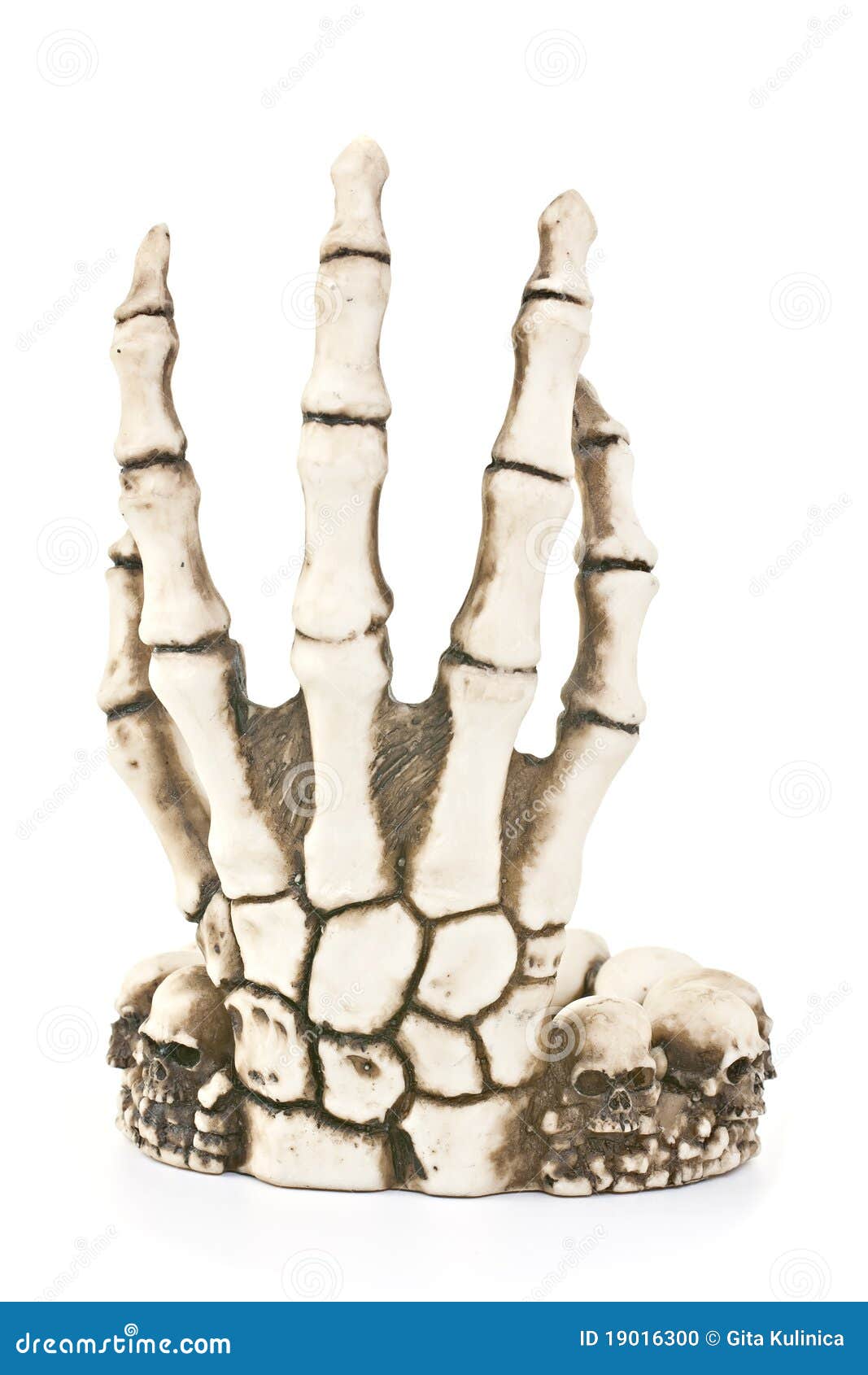 Skeleton hand. stock photo. Image of biology, patient - 19016300