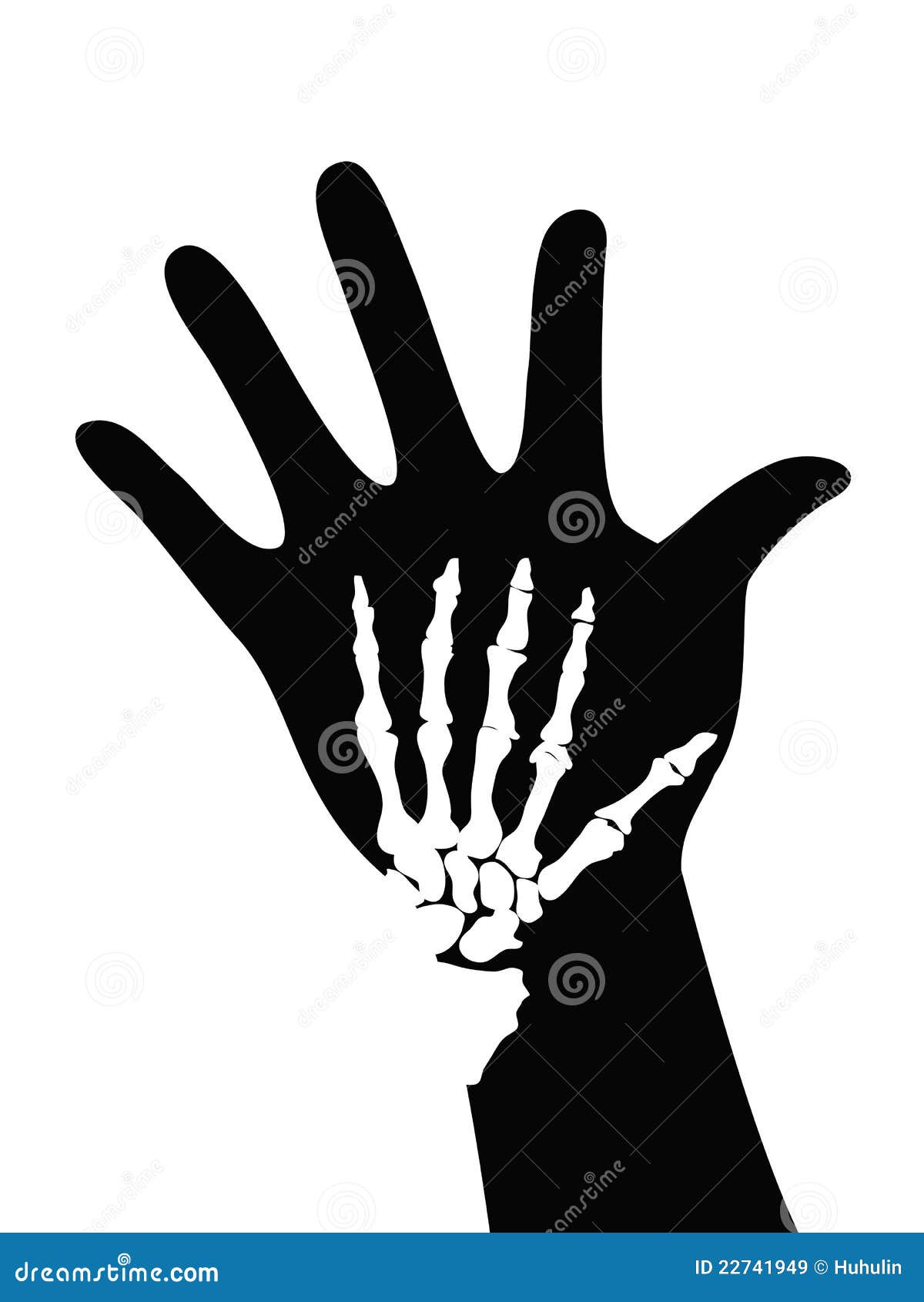 Skeleton on hand stock vector. Illustration of graphic - 22741949
