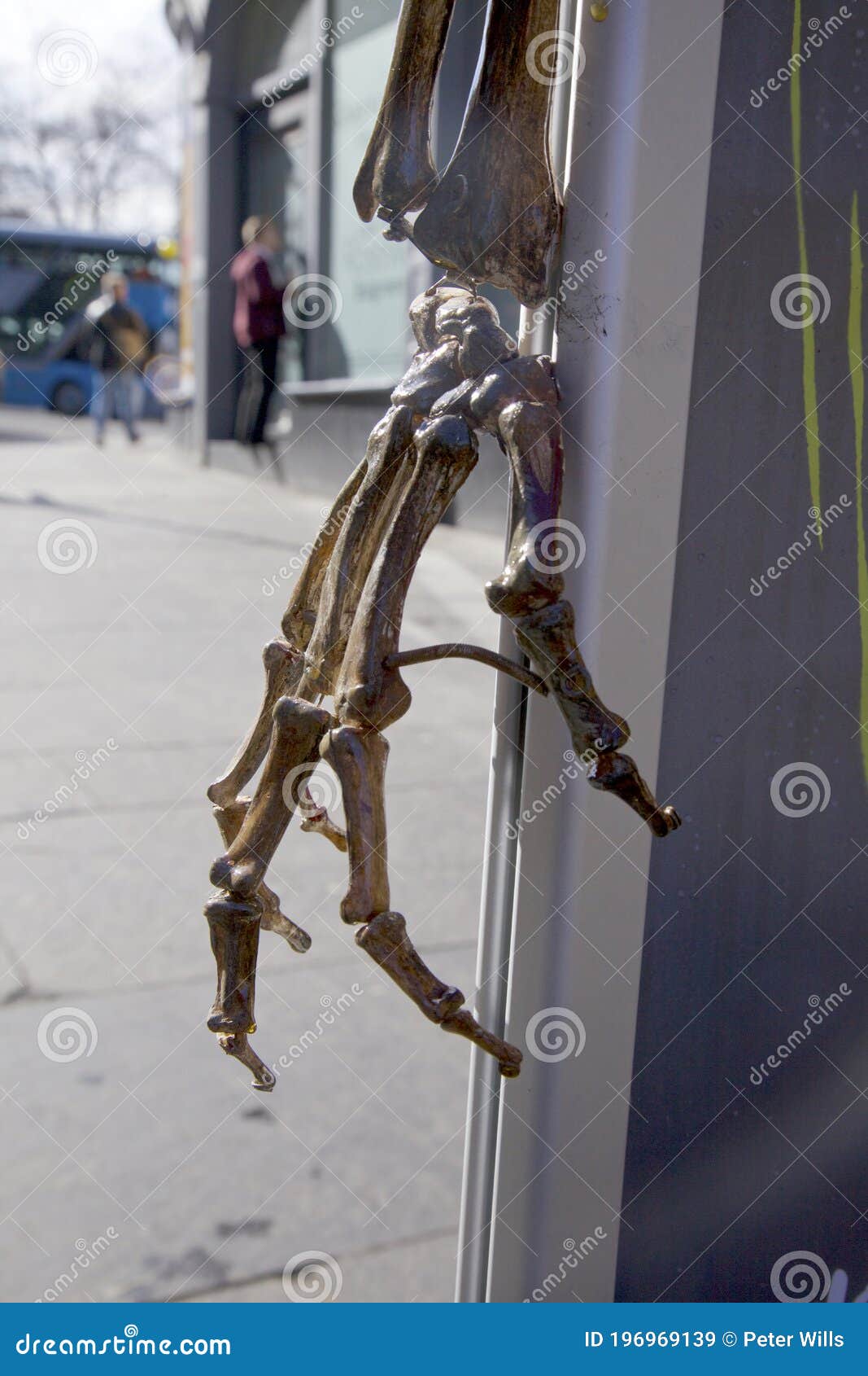Close up of skeletal hand stock image. Image of backdrop - 196969139