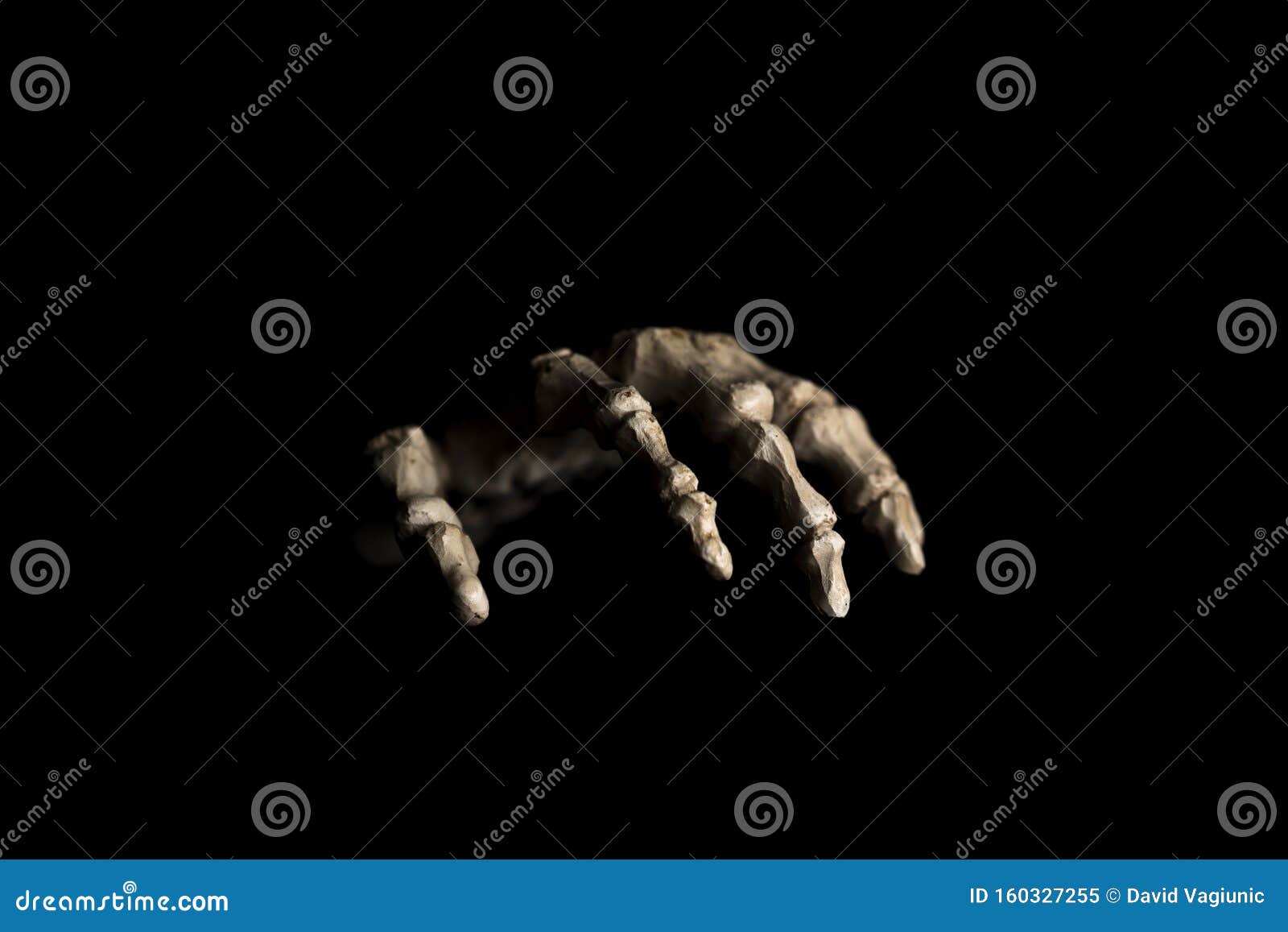 Skeleton Hand With Old Hammer Stock Image | CartoonDealer.com #30223423