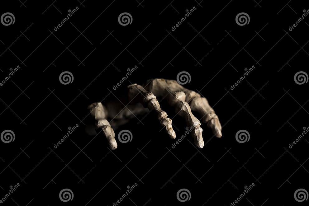 Skeleton hand stock image. Image of halloween, black - 160327255