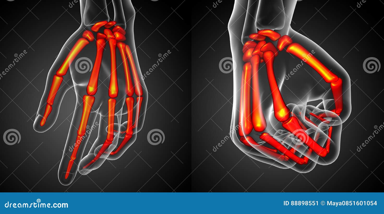 Skeleton hand stock illustration. Illustration of palm - 88898551