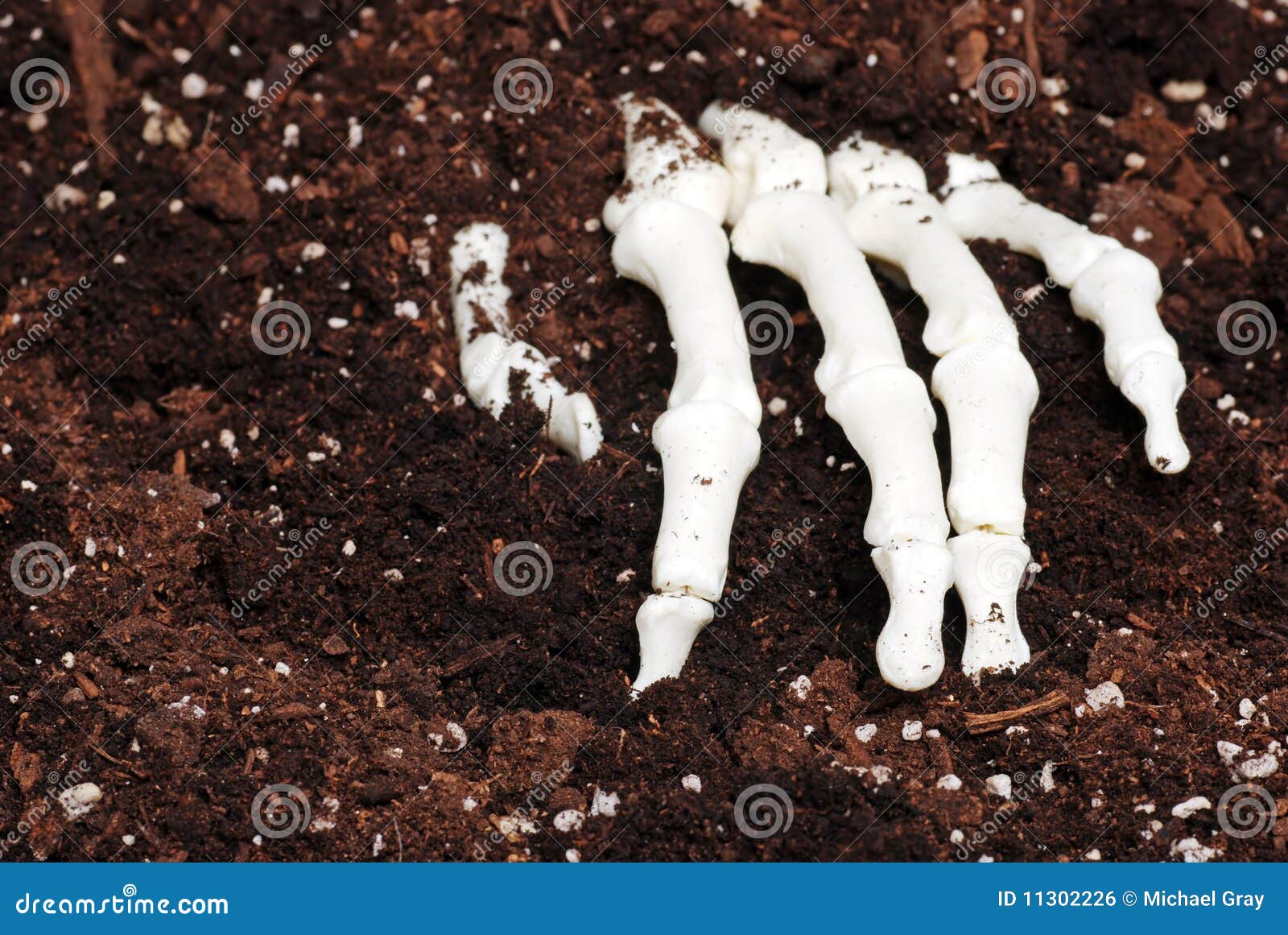 Skeleton Hand Stand Stock Photography | CartoonDealer.com #102252188