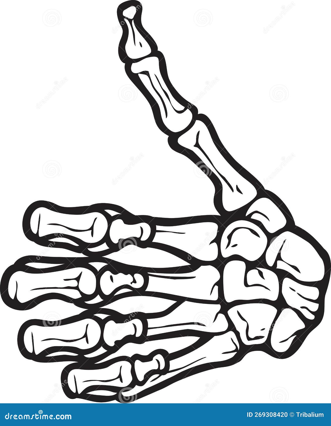 Skeleton Hand Gesture Thumb Up. OK Gesture Stock Vector - Illustration ...
