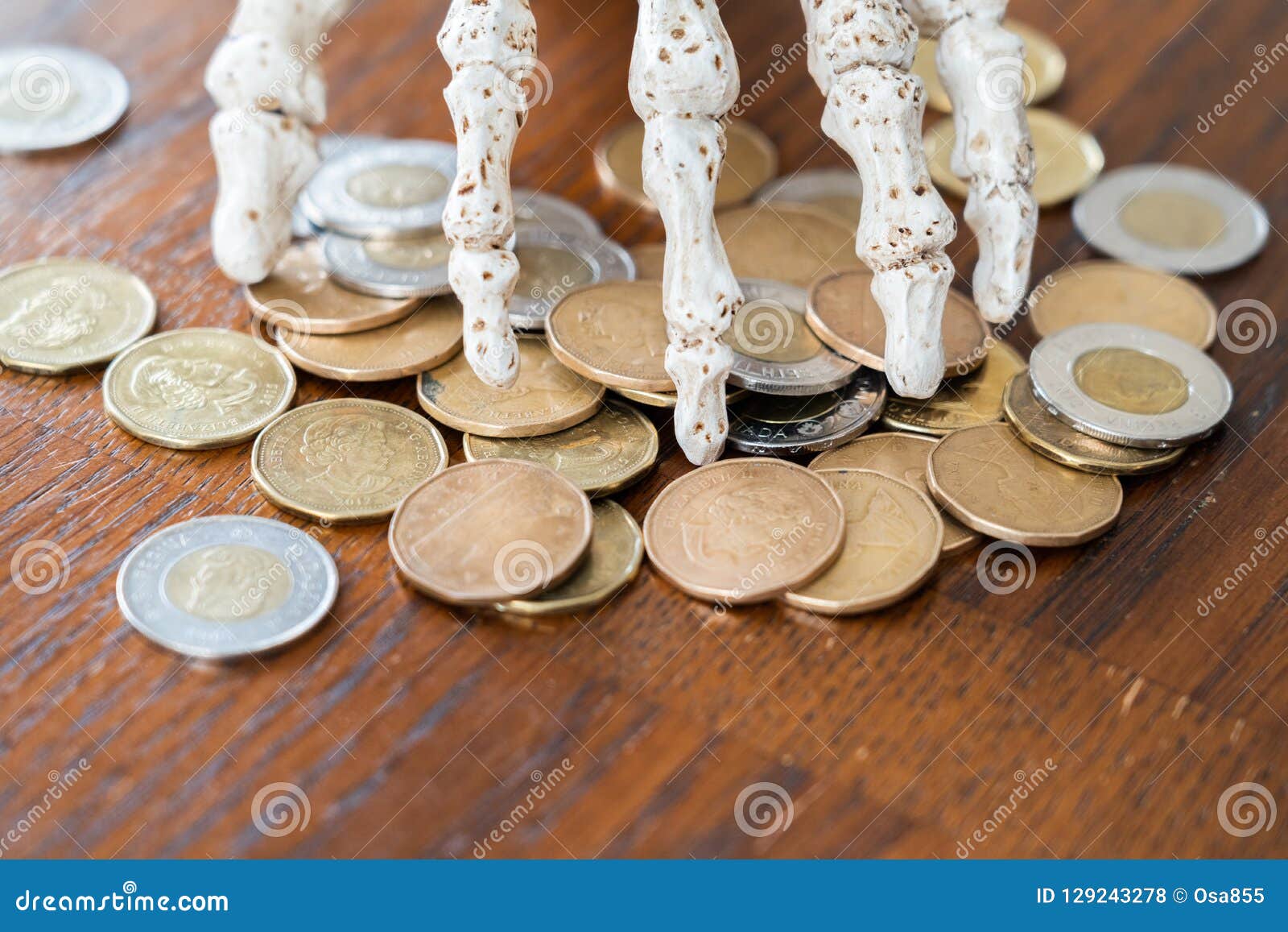 Skeleton Hand Guarding Coins during Halloween Stock Photo - Image of ...