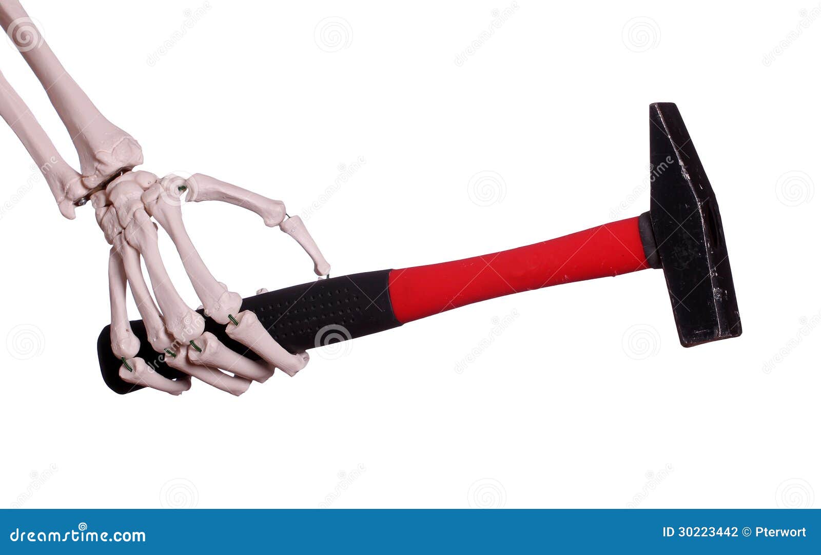 Skeleton Hand Stand Stock Photography | CartoonDealer.com #102252188
