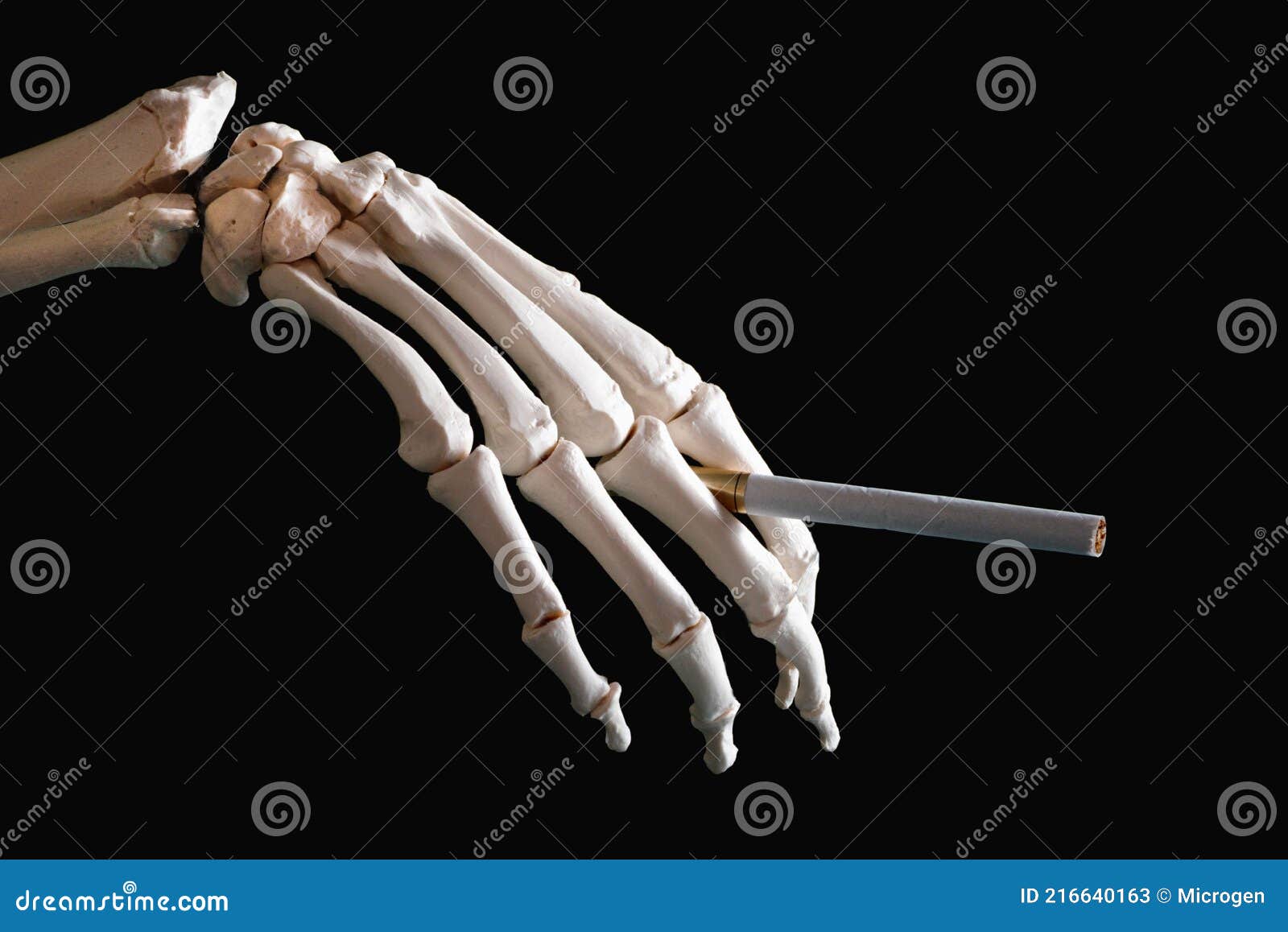 Skeleton Hand Holding Cigarette Stock Image - Image of skeleton ...